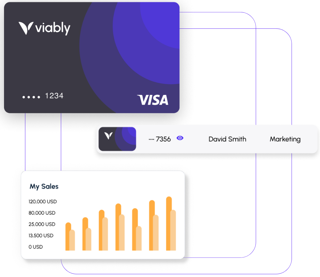Viably Pricing | Ecommerce Funding, Banking, and Forecasting