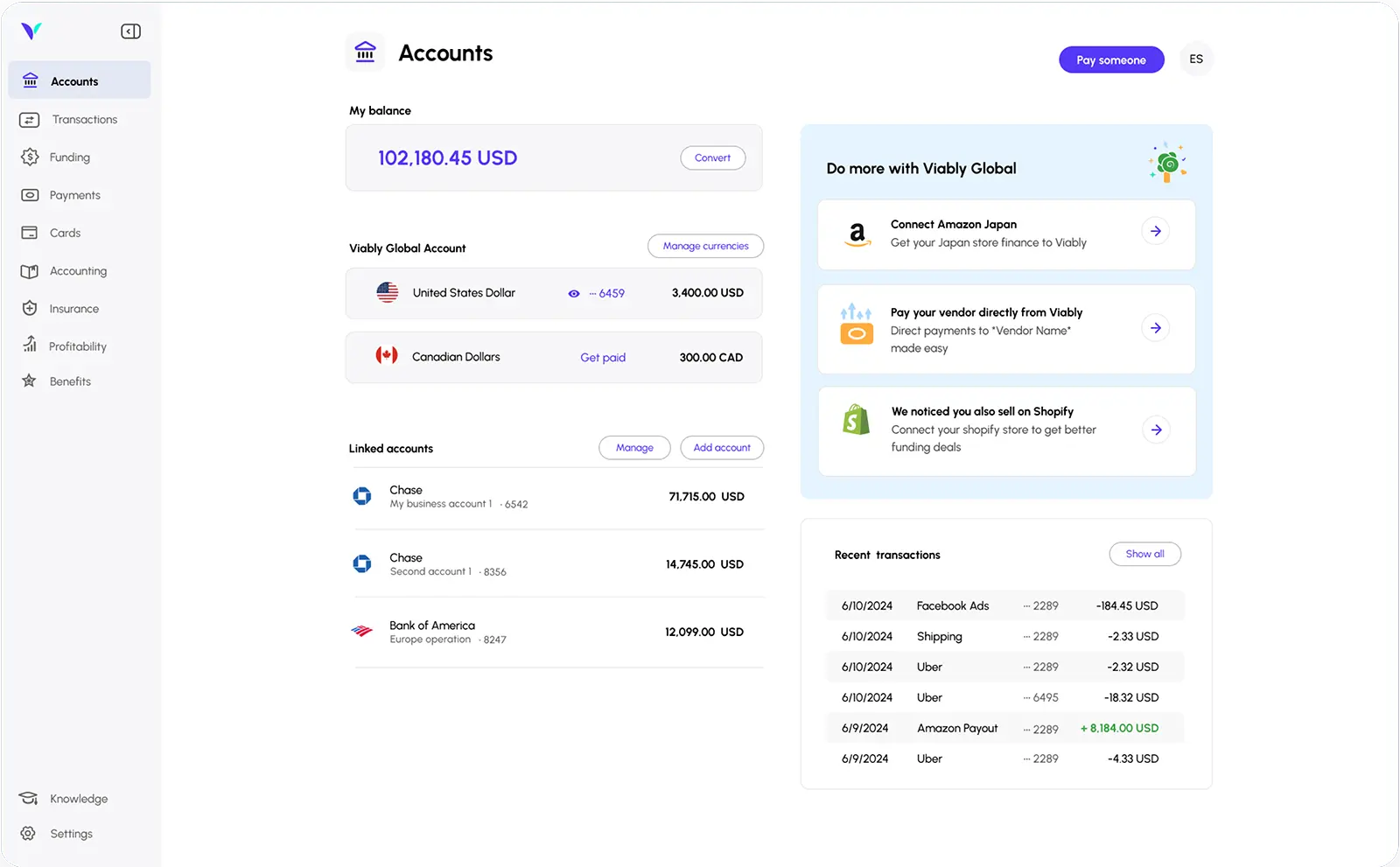 Viably - Your Strategic Financial Partner in Ecommerce